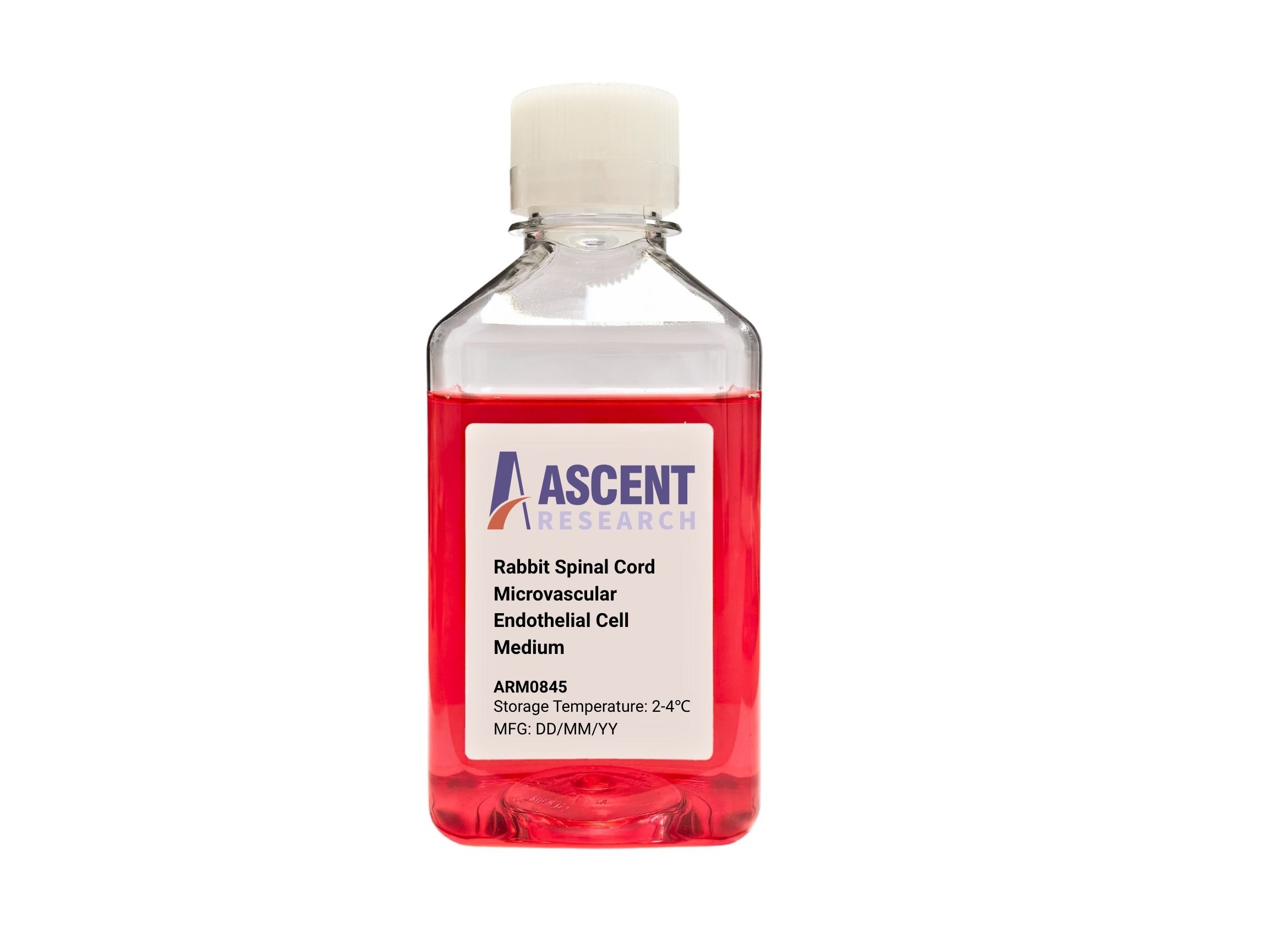 Rabbit Spinal Cord Microvascular Endothelial Cell Medium