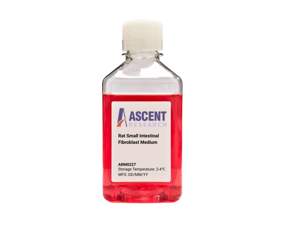 Rat Small Intestinal Fibroblast Medium | Ascent Research